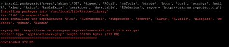 bash starting container process caused ”exec ”r ” executable file not found in path