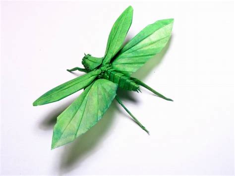 Origami Ideas Origami Libelula Paso A Paso