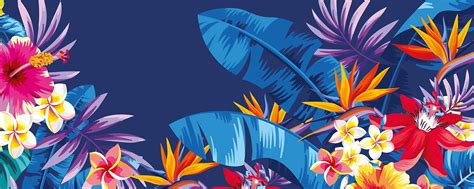 VACATION COLLECTION FRSH Scents