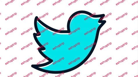 Create Twitter Clone Using Laravel Eshoptrip
