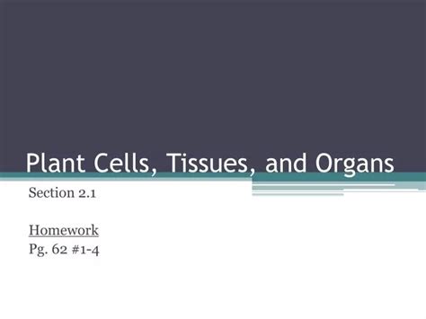 PPT Plant Cells Tissues And Organs PowerPoint Presentation Free