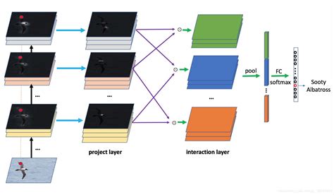 hierarchical bilinear pooling for fine grained visual recognition csdn博客