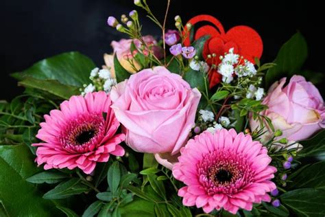 How To Preserve Cut Flowers In A Vase Best Flower Site