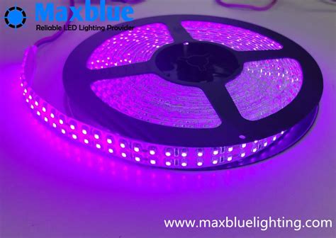 DC24V 19 2W M 3528SMD 240LED M Purple Violet 365nm 375nm 395nm 400nm UV