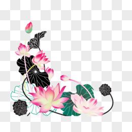 中国风水墨莲花图片素材 免费中国风水墨莲花PNG设计图片大全 图精灵