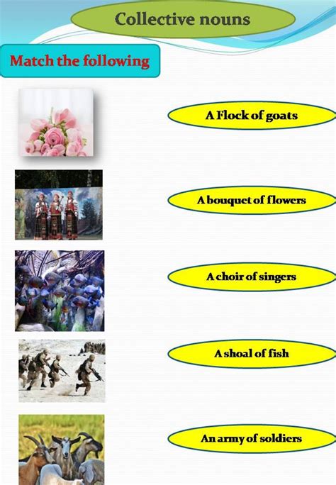 Shoal Of Fish Collective Nouns Online Activities School Subjects