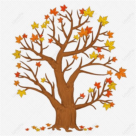 Árbol De Hoja Caduca Otoño PNG Imágenes Gratis Lovepik