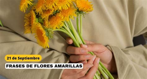 Tradiciones y significado de regalar flores amarillas en México el 21