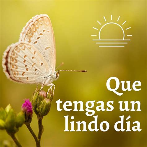 Que tengas un lindo día 100 frases e imágenes bonitas