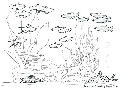 Sea Life Coloring Pages For Adults At Getcolorings Free Printable