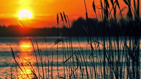 Meditationsmusik Entspannungsmusik Einschlafmusik Musik Zum
