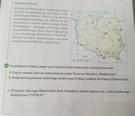 Proszę o pomoc daje naj Geografia Lasy w Polsce Brainly pl