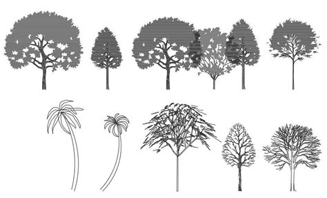 Landscape Tree CAD Block Elevation Design Cadbull