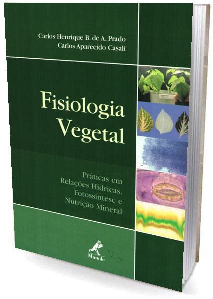 Mapas Mentais E Conceituais De Morfofisiologia Vegetal Off