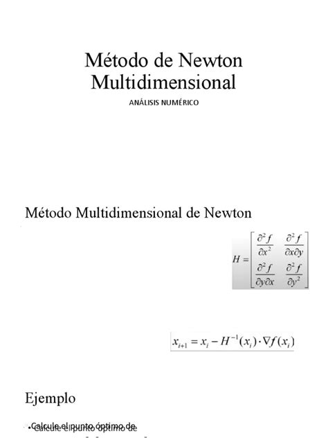 método de newton multidimensional pdf
