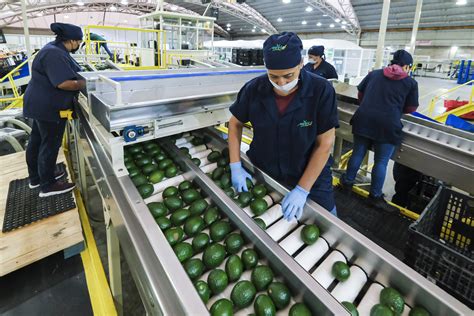 PROGRAMA DE EMPLEO EN JALISCO CUENTA CON 60 MIL VACANTES