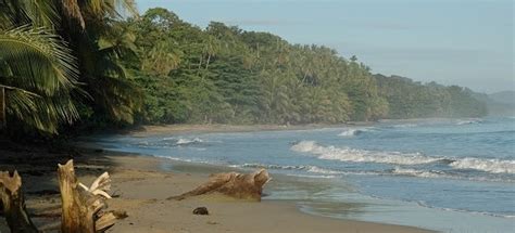 As Melhores Praias Da Costa Rica Hotelbooking