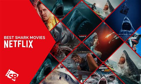 14 Best Shark Movies On Netflix Right Now In USA Updated 2023