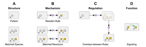 layers of information in a rule based model a structure each download scientific diagram