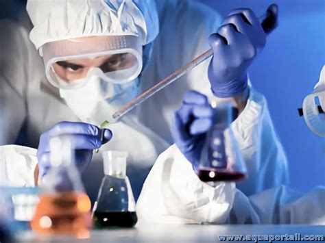Physico Chimique D Finition Et Explications