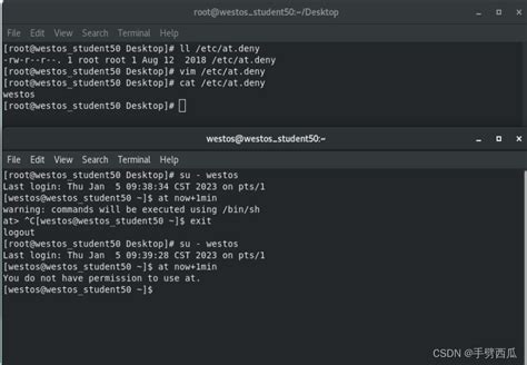 linux系统的延时任务及定时任务 linux最晚启动的服务 csdn博客