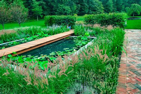 Gallery Of Residential Koi Pond Rhineback New York By Aquatic