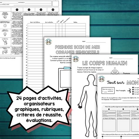 SCIENCES 5 LES SYSTÈMES DU CORPS HUMAIN