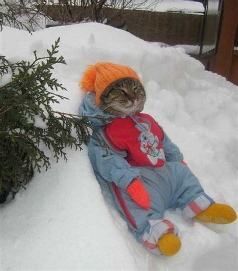 41 Reliable Signs It S Too Cold Outside 41 Photos KLYKER