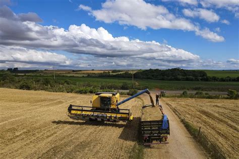 área recorde de 87 mil hectares colheita da cevada continua em