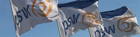 Bestuur En Toezicht Psw
