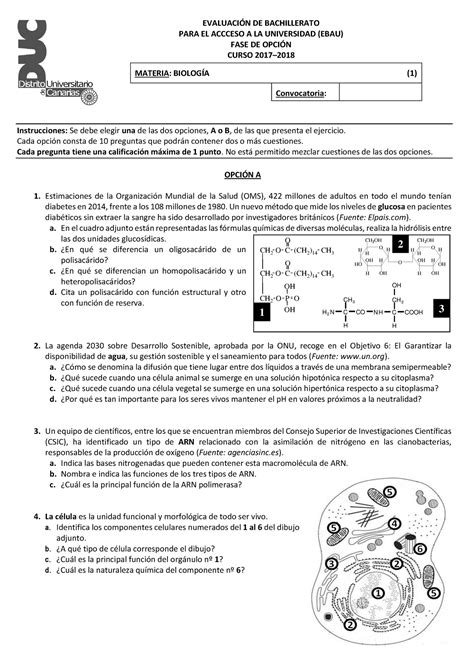 Examen Biologia Ebau Junio 2018 EVALUACIN DE BACHILLERATO PARA EL