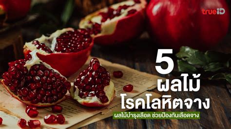 Top 43 ผลไมบารงสายตา Update Noithatsieure vn