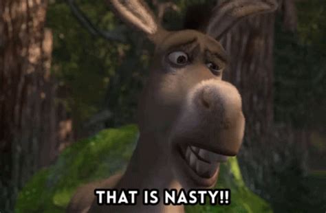 Shrek Donkey Shrek Donkey That Discover Share Gifs