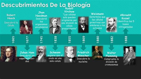 Línea de Tiempo Biología Celular Michelle Salinas uDocz