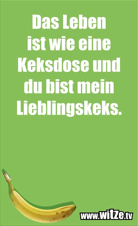 Das Leben ist Kategorie Lustige Anmachsprüche Witze tv