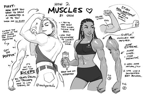 Muscle Drawing
