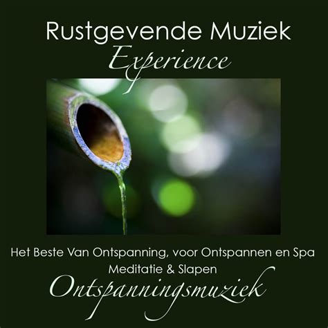Rustgevende Muziek Experience Het Beste Van Ontspanning Voor