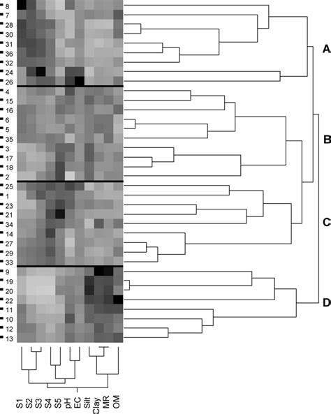 Dendrogram And Heat Map Assembled With JMP Statistical Analysis Program