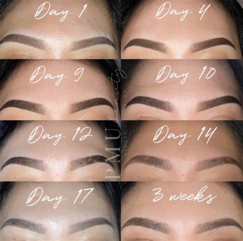 Ombre Brows Healing Process Day By Day Complete Guide