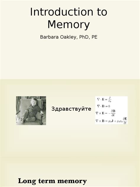 introduction to memory pdf pdf working memory memory