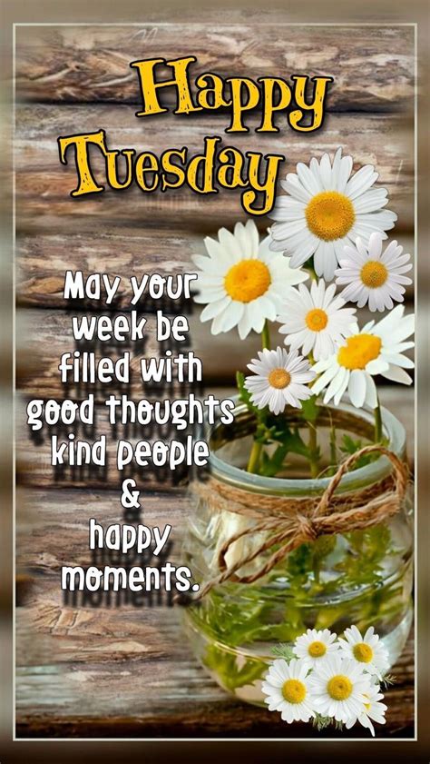 Pin By Christina Canizzaro On Plant Life Comments In 2024 Happy