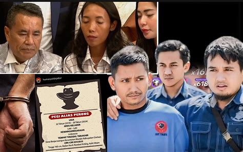 Hotman Paris Ungkap Bukti Hukum Pegi Pelaku DPO Belum Begitu Kuat 5