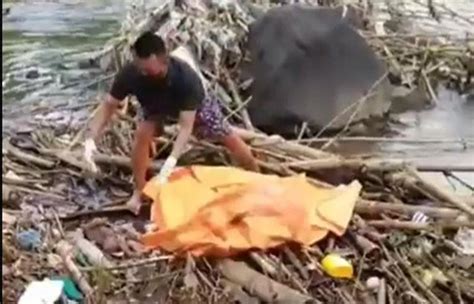 Magelang Geger Mayat Bayi Perempuan Dengan Tali Pusar Menempel