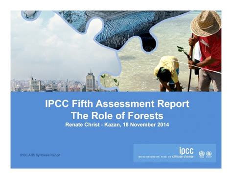 Pdf Ipcc Fifth Assessment Report The Role Of Forests Ipcc