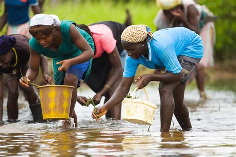 Livelihoods Funds Building Resilient Communities Ecosystems