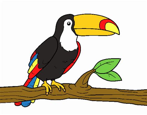 Imagenes De Un Tucan Para Colorear Cómo Dibujar y Colorear un Tigre