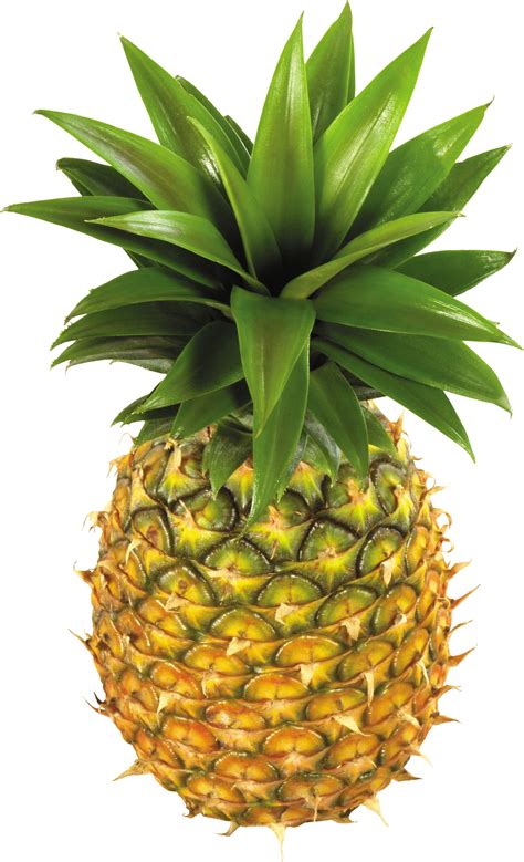 Collection Of Fruit Png Pluspng