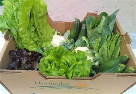 Frutas Y Verduras De Invierno En Espa A Iltortellino