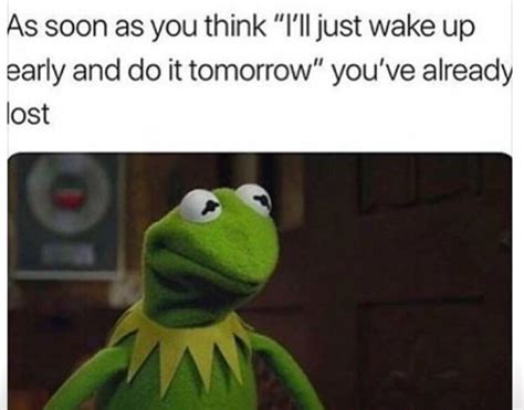 Sad Kermit Meme