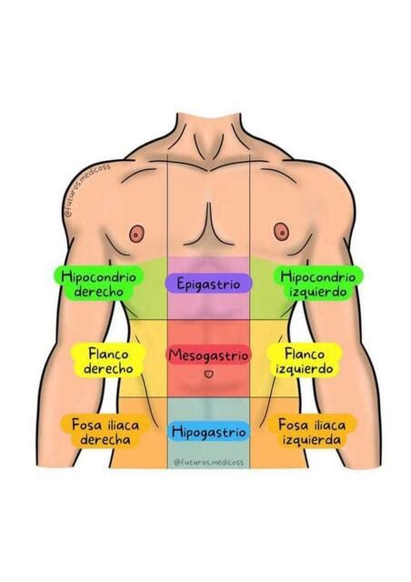 Cuadrantes Abdominales Enfermer A Udocz
